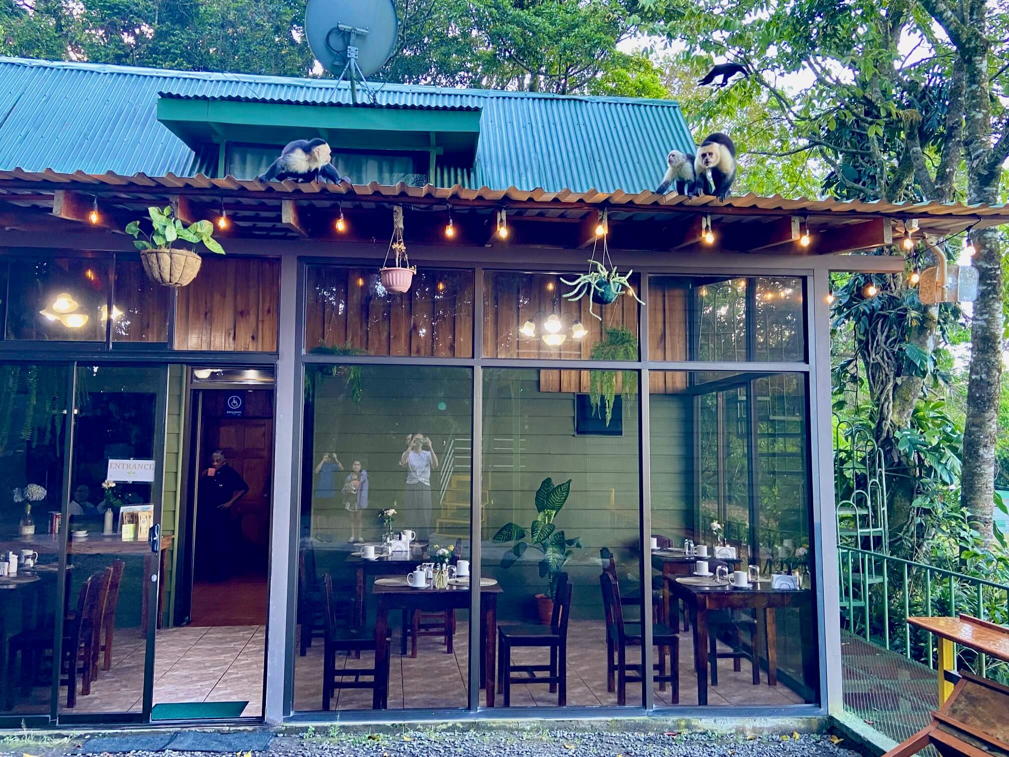 Hotel spotlight: Hotel Flor de Bromelia, Monteverde - our everywhere view