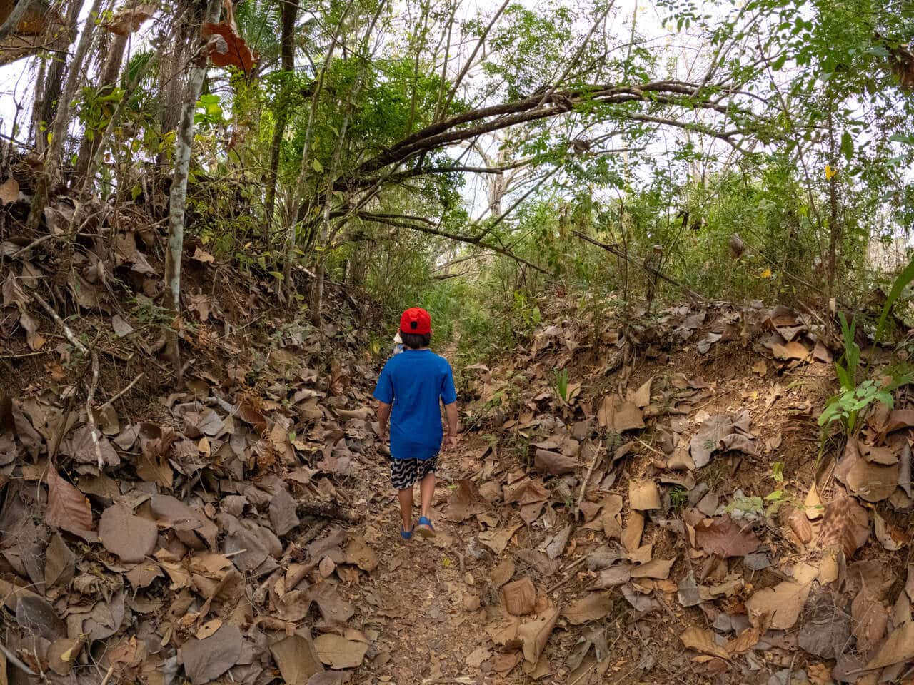 Secret beach: Playa Cocolito, Costa Rica - our everywhere view