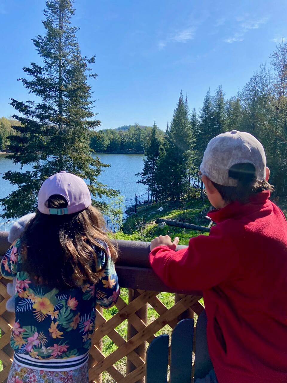 Parc Omega: a family-friendly Canadian safari - our everywhere view